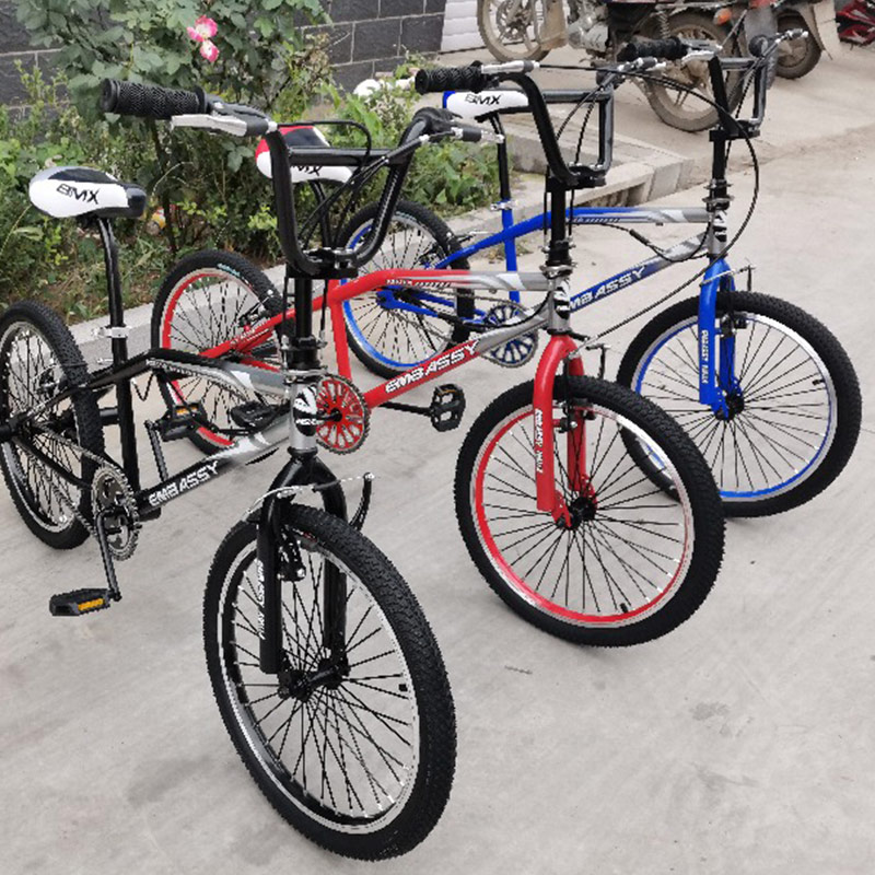 Embassy 20 Inch Bicycle - Embassy Online